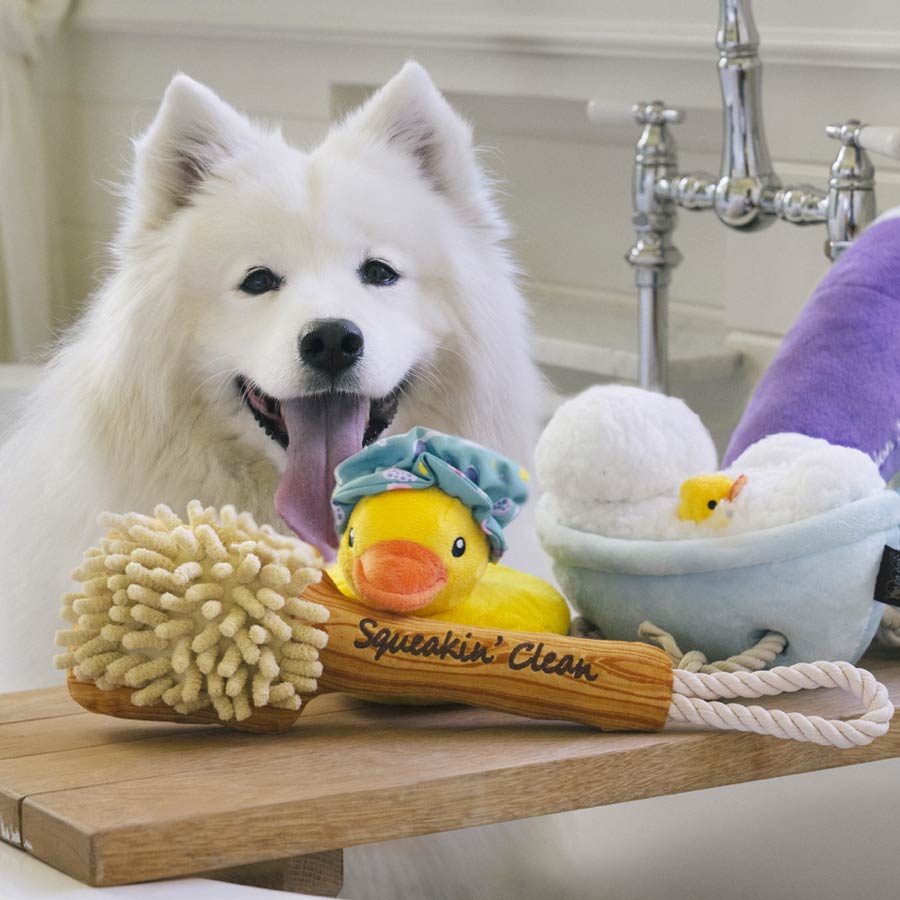 Bath Themed Dog Toys | Splish Splash by PLAY