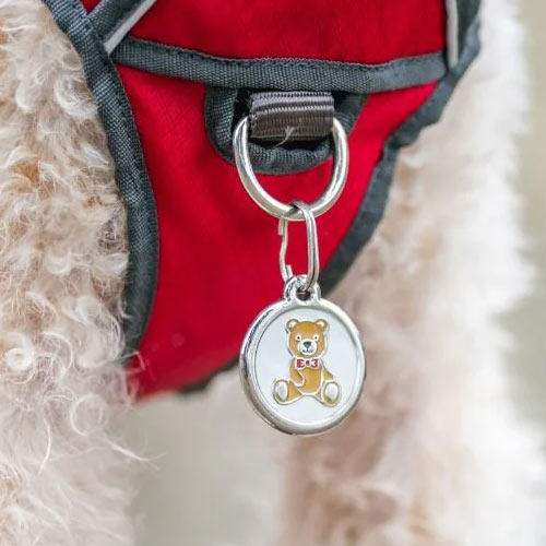 Gorgeous Teddy Bear Large Dog ID Tag | Engraved