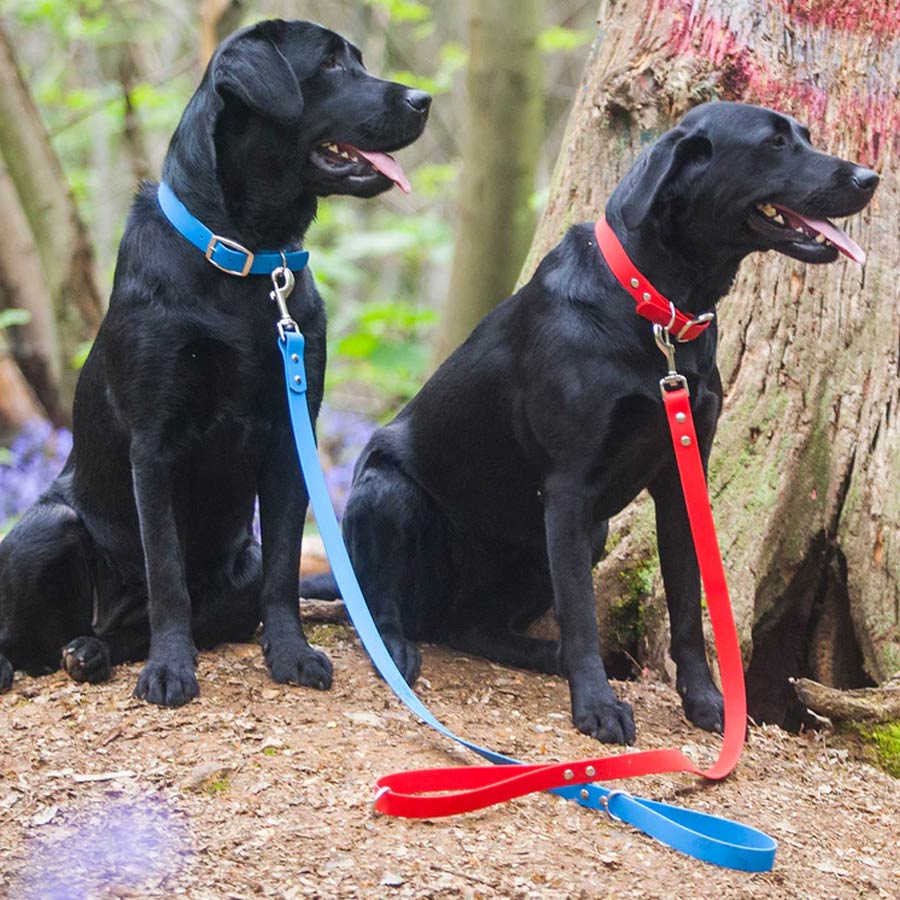 Bright Red Biothane Waterproof Dog Lead | UK