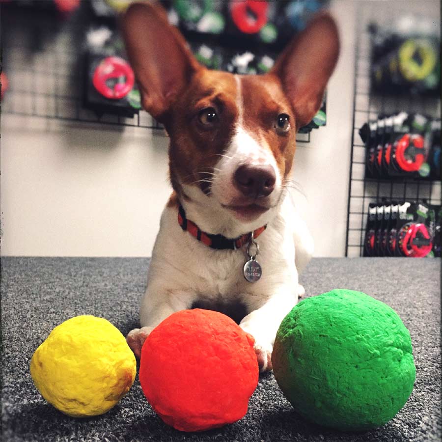 The Wunderball | Tough Solid Dog Ball | UK