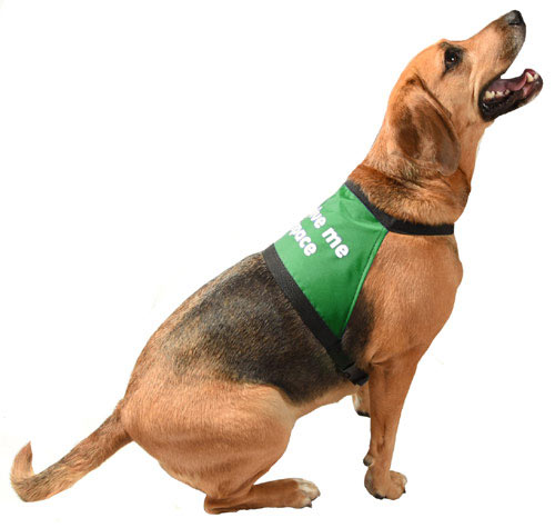 Dog Warning Vest or Message Tabard | UK Made | D for Dog