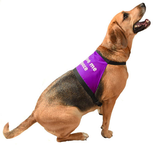Dog Warning Vest or Message Tabard | UK Made | D for Dog