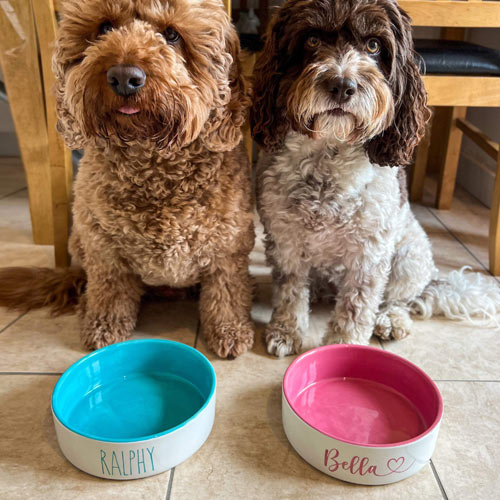 Personalised Dog Bowls | UK Hand-Painted & Made for Your Dog
