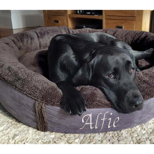 Personalised Dog Beds | Add Your Dog’s Name | UK