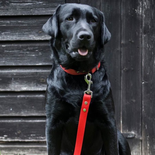 Bright Red Biothane Waterproof Dog Lead | UK
