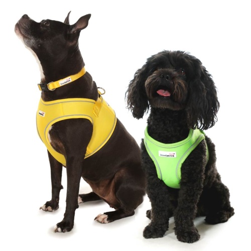 Doodlebone Harnesses, Collars & Leads | UK